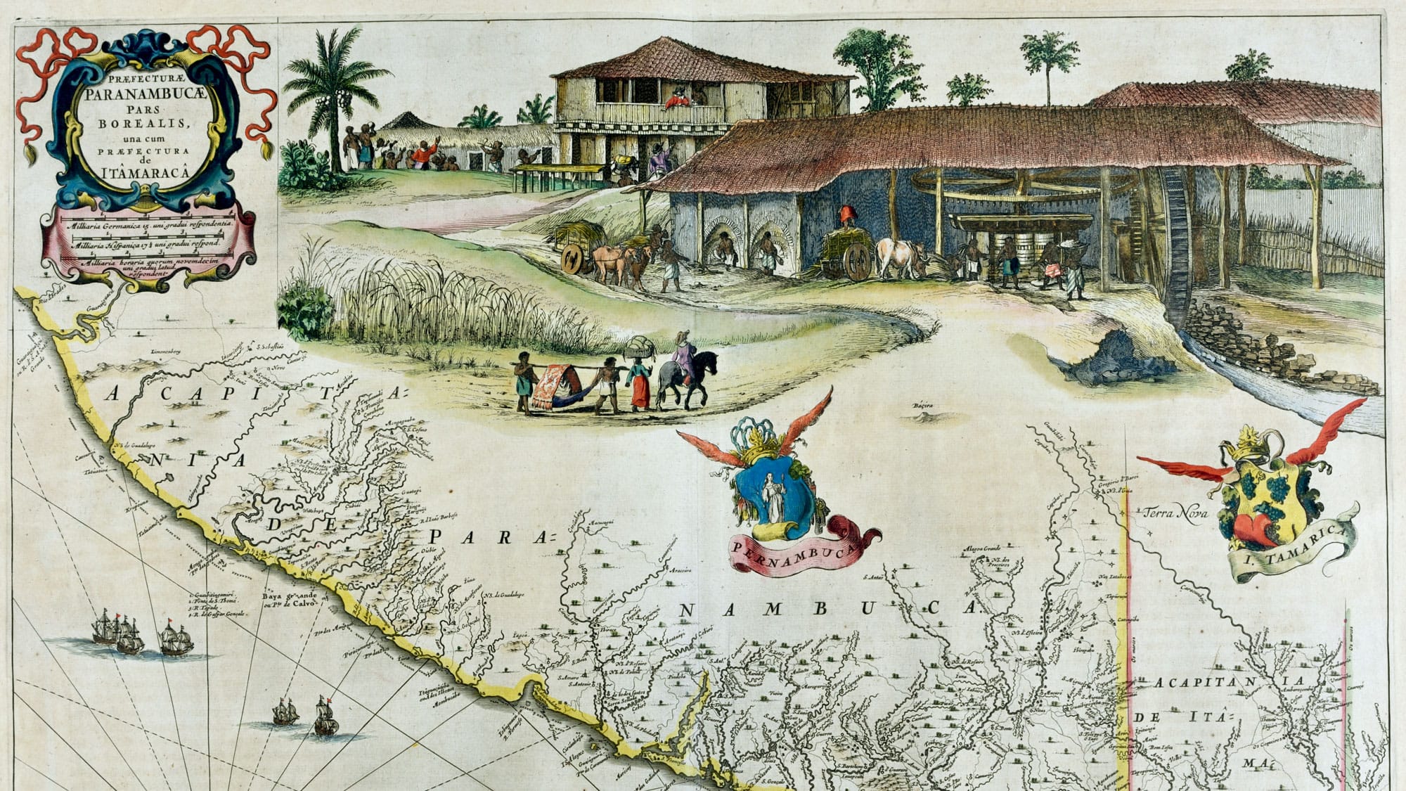 Commodities and Environments: Florence and the Indo-Atlantic World ...